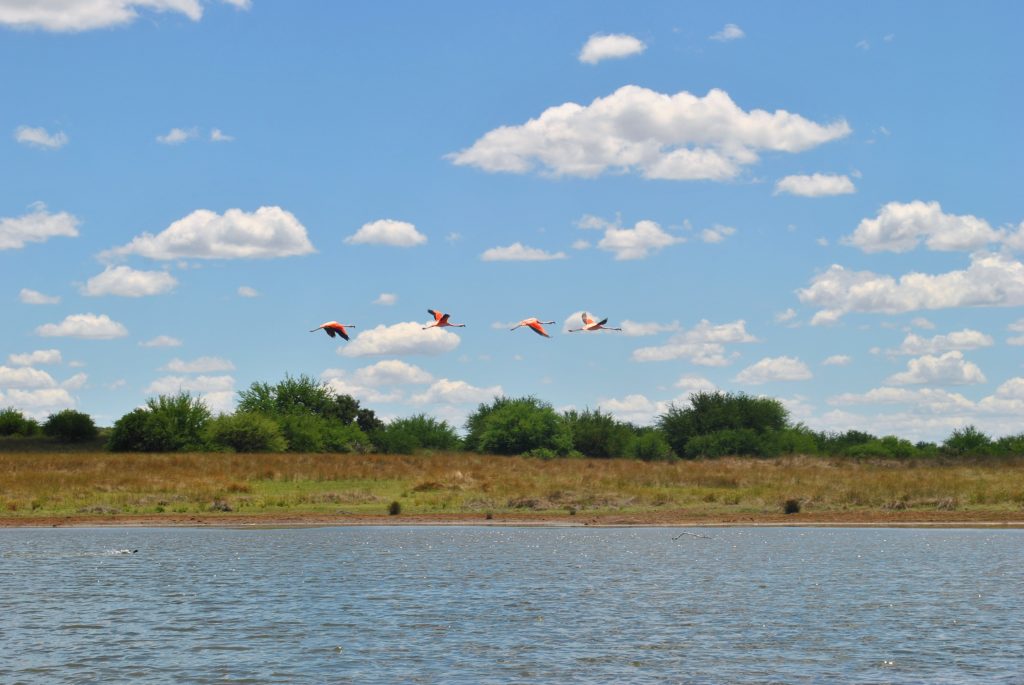 Turismo Villarino – Provincia de Buenos Aires
